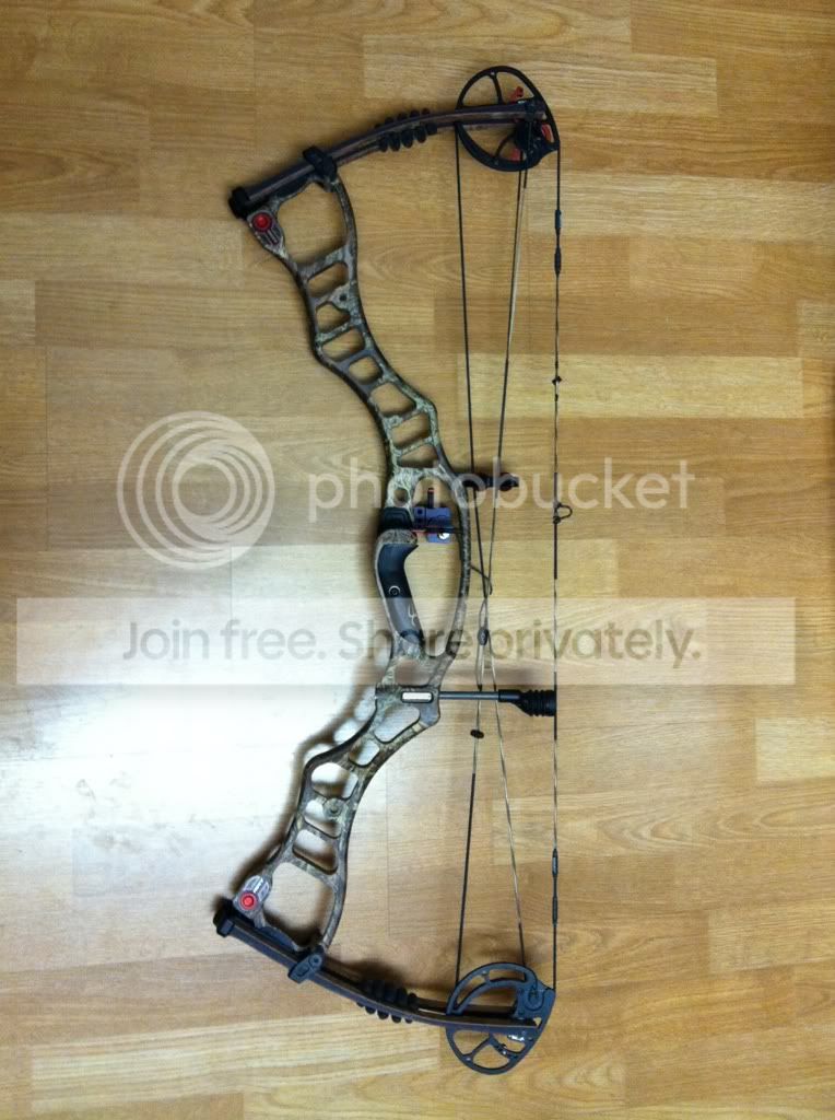 Lets see your pictures of your Hoyt Vectors!!!! | Archery Talk Forum