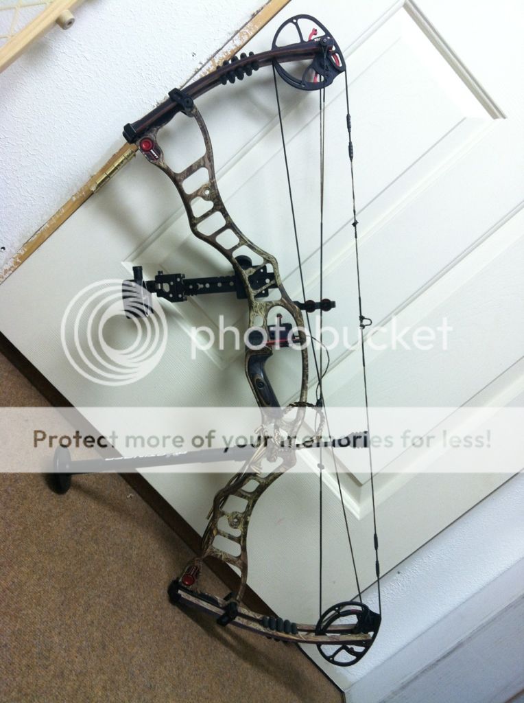 I wanna see some hoyt vector turbo pics | Page 2 | Archery Talk Forum
